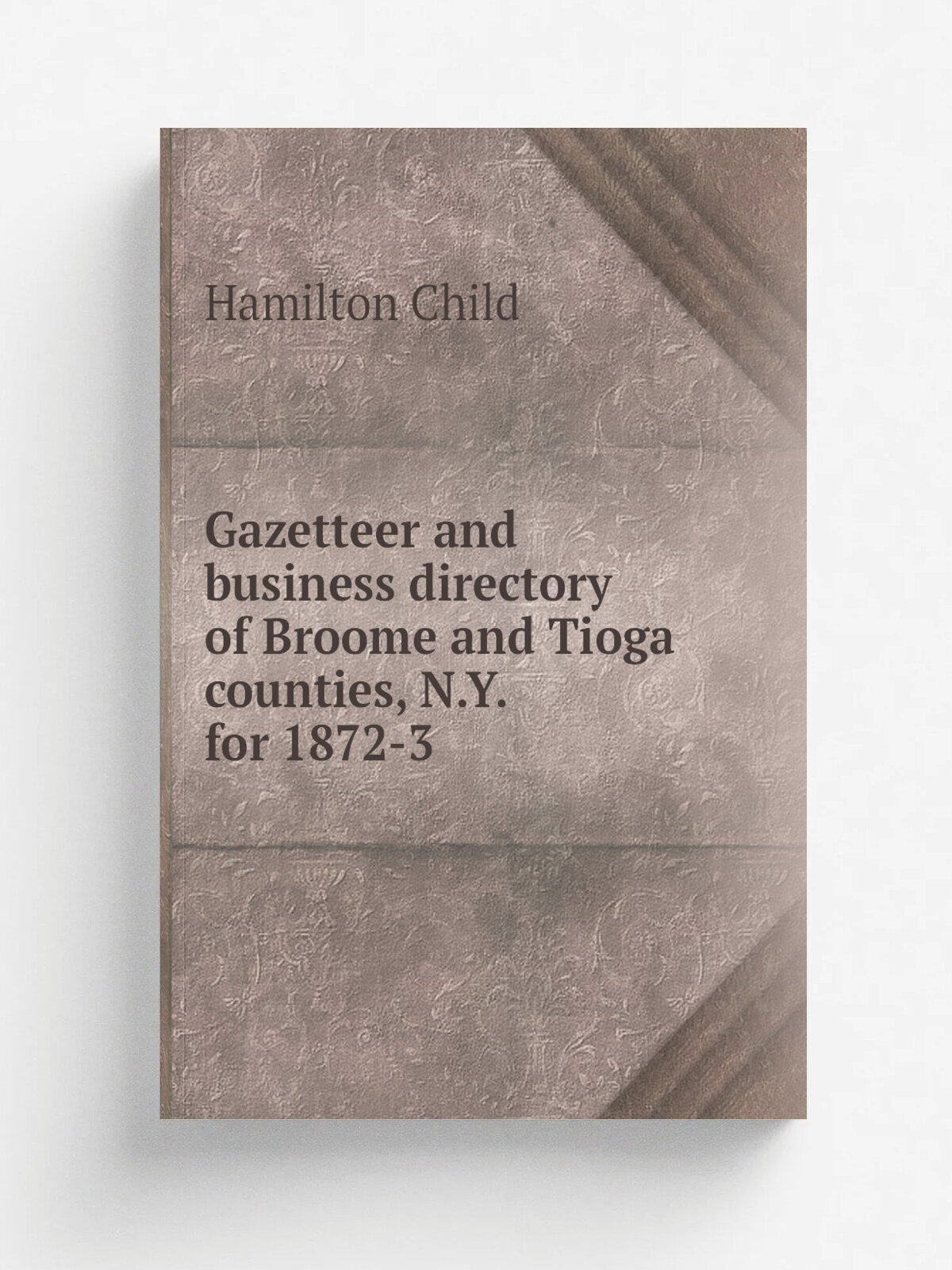 Gazetteer and business directory of Broome and Tioga counties, N.Y. for 1872-3