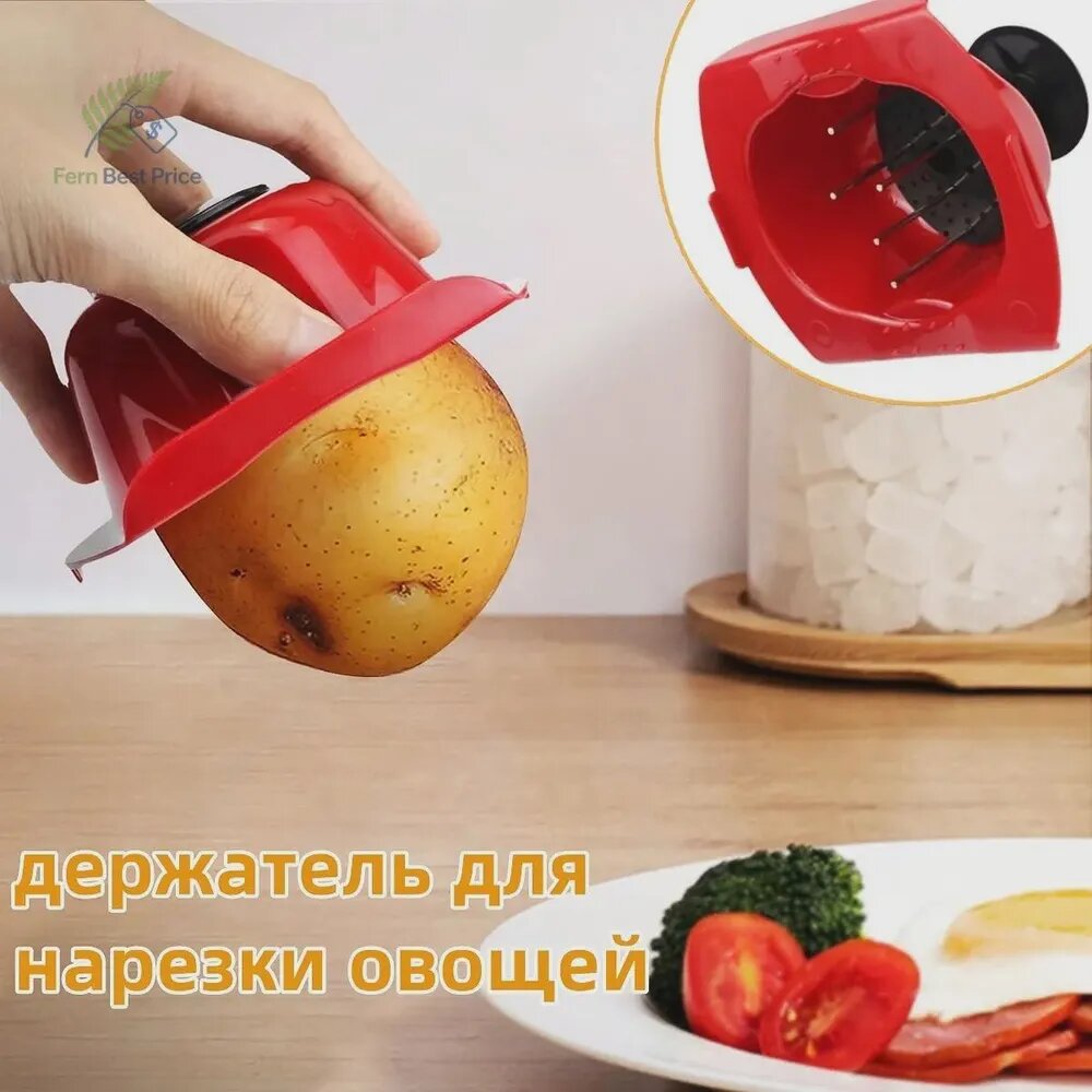 Плододержатель