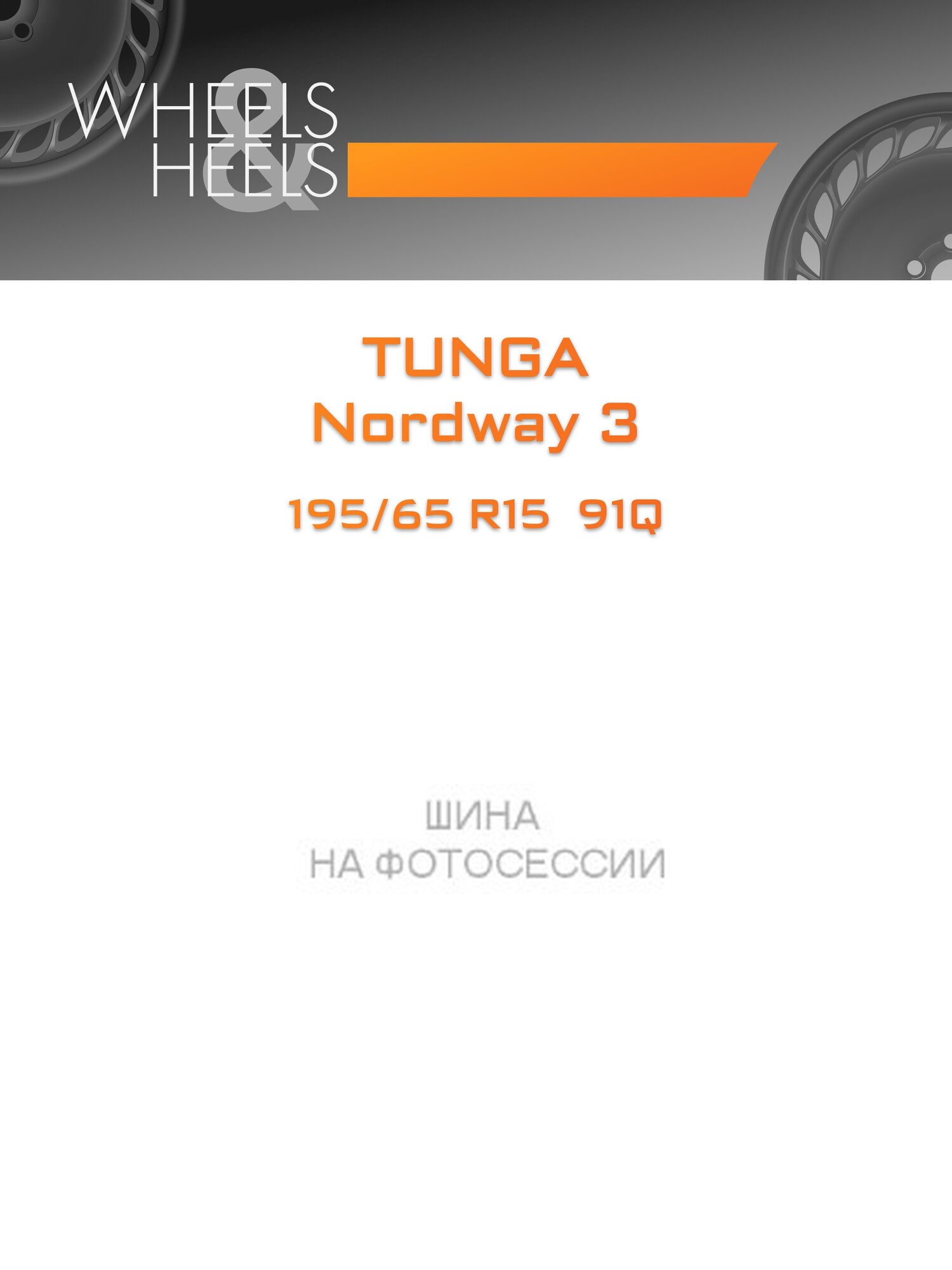 Шина автомобильная Tunga Nordway 3 195/65 R15 91Q WINTER Ш, зимняя, универсальная