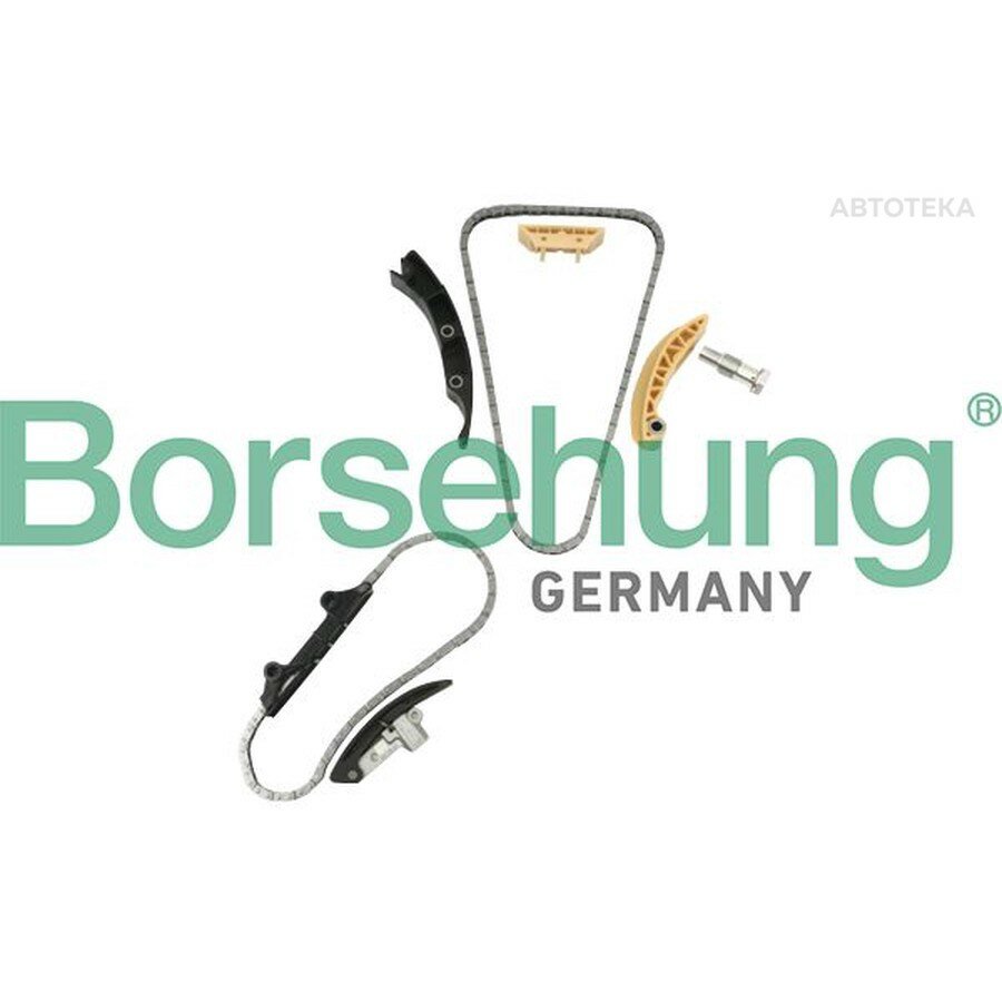 Комплект цепи ГРМ BORSEHUNG B10207