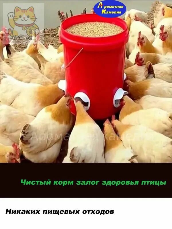 Кормушка для кур цыплят бройлеров перепелов уток гусей индеек птиц автоматическая 2 шт