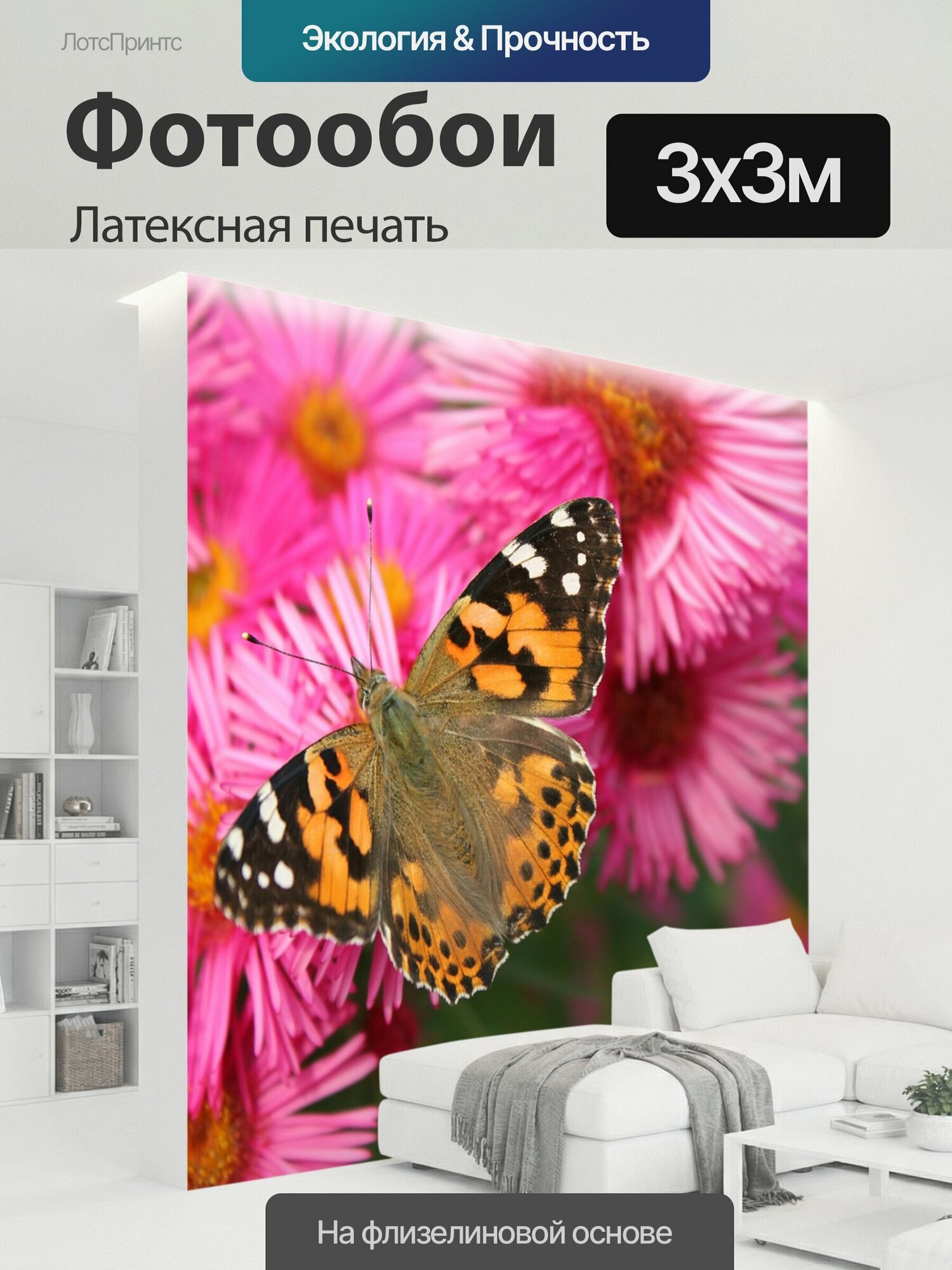 Фотообои моющиеся ударопрочные "Бабочка, бабочки, адмирал" 300x300 см. латексная печать