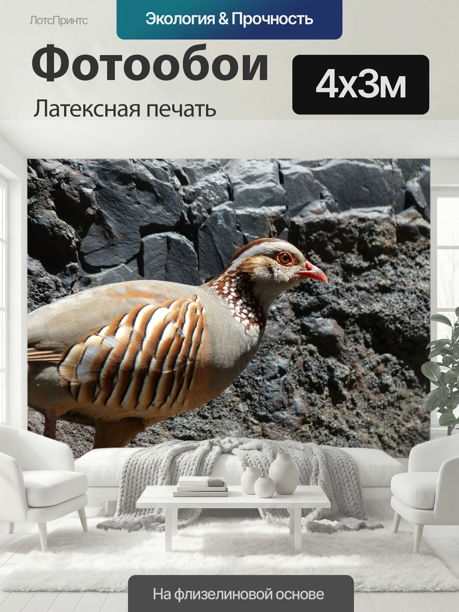 Фотообои моющиеся ударопрочные "Глухарь, птица, курица" 400x300 см. латексная печать