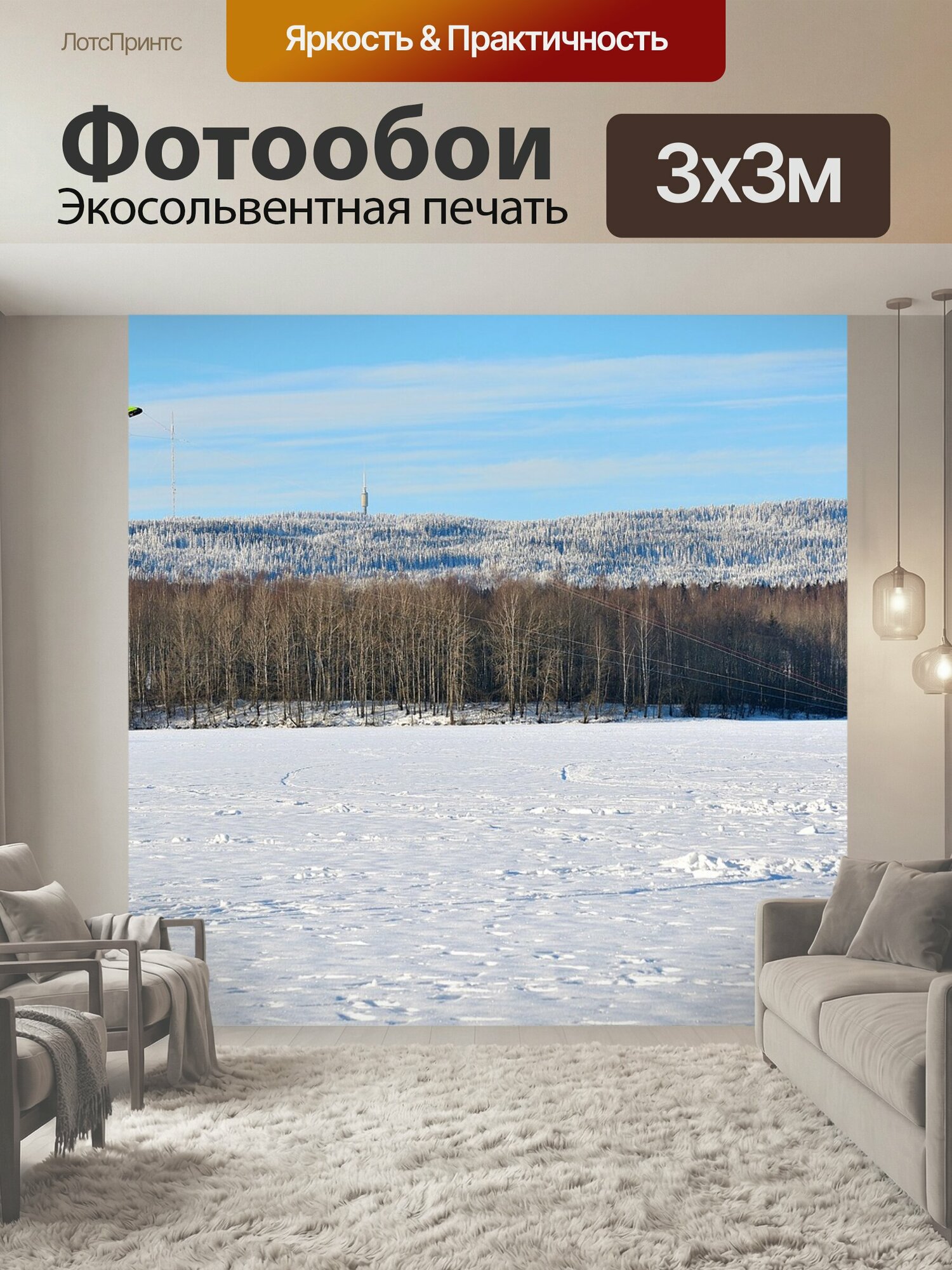 Фотообои "Сноу-кайт, сноу-кайтинг, горные лыжи" 300x300 см. экосольвентная печать