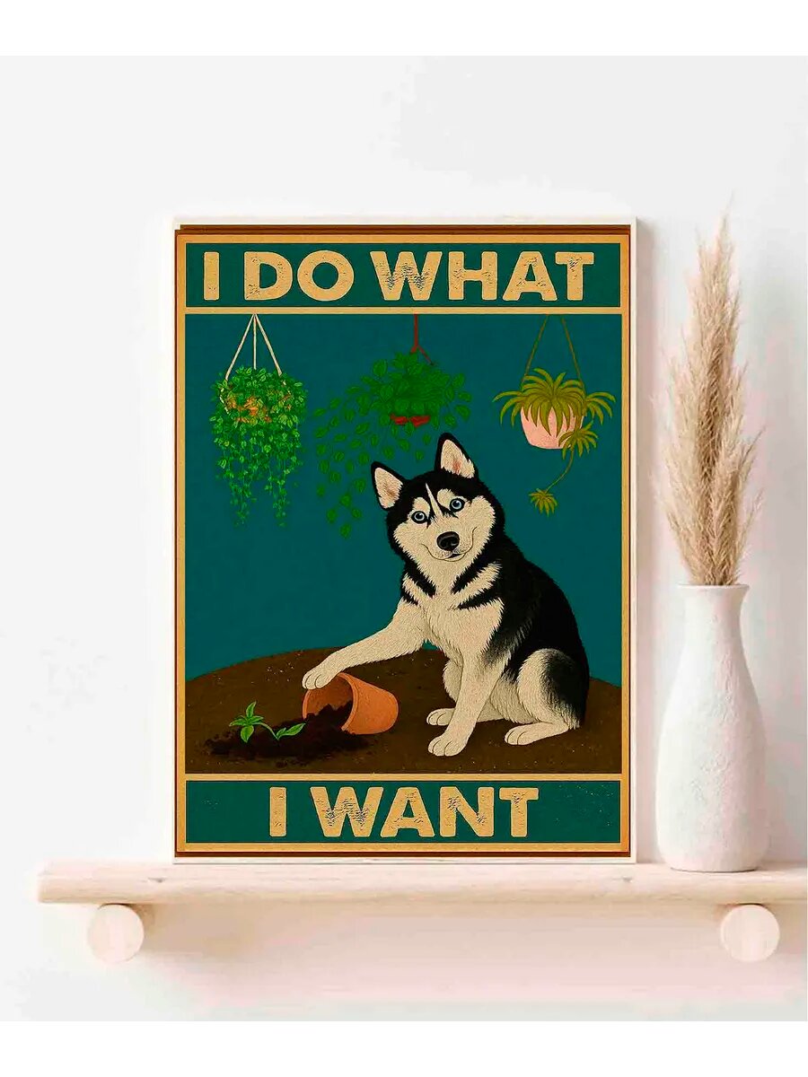 Собака породы Сибирский хаски, I Do What I Want, Плакат 30x4