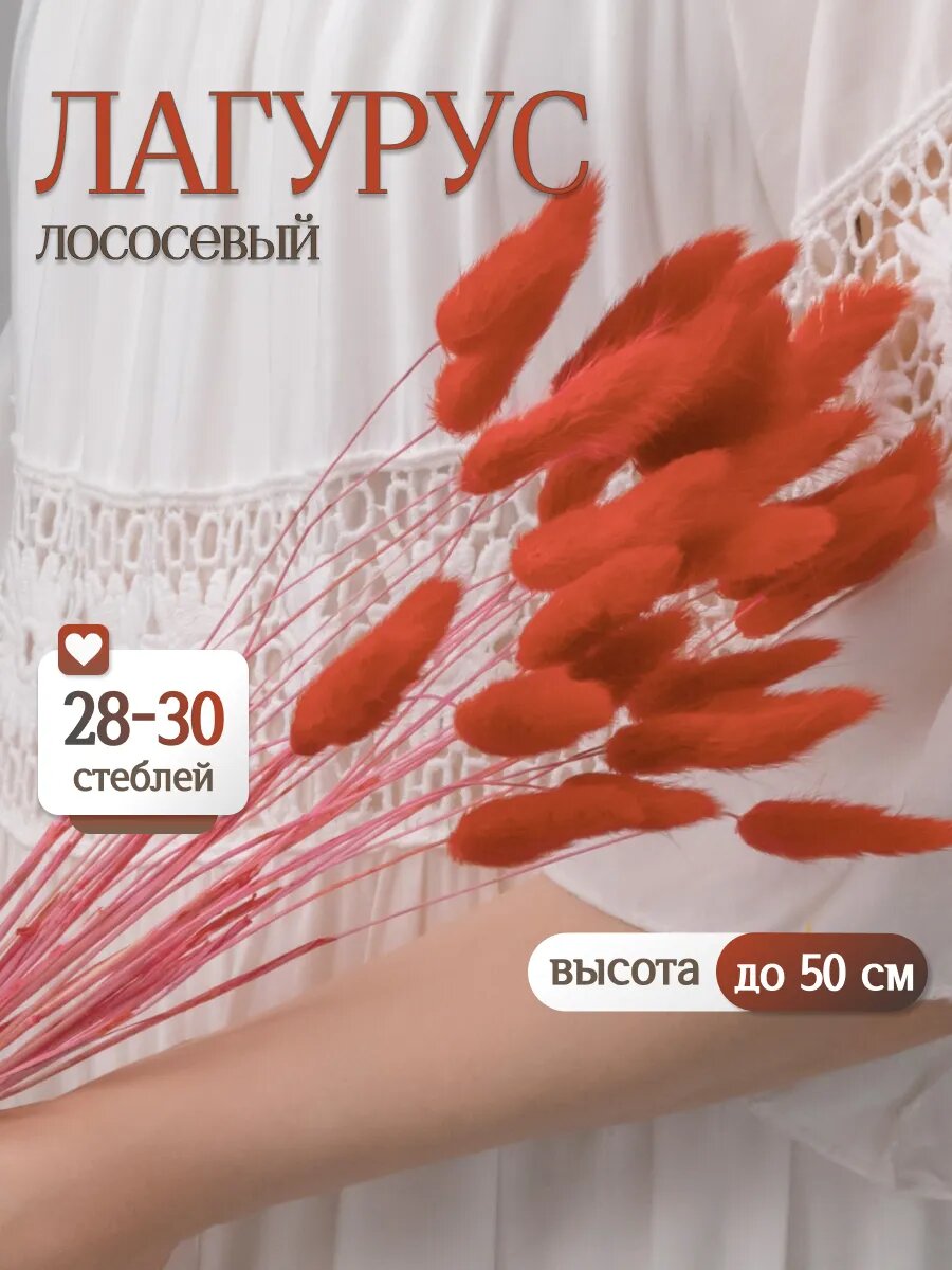Лагурус лососевый 30 шт, сухие цветы для декора