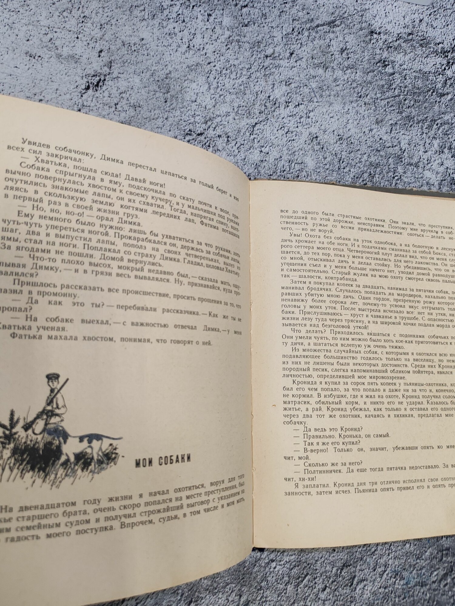 Лесные тропы (1962 г.) — фото 1