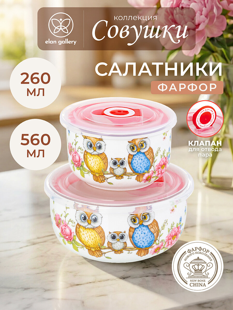 Набор 2 салатников Elan Gallery Совушки, 560 мл + 260 мл, с крышками