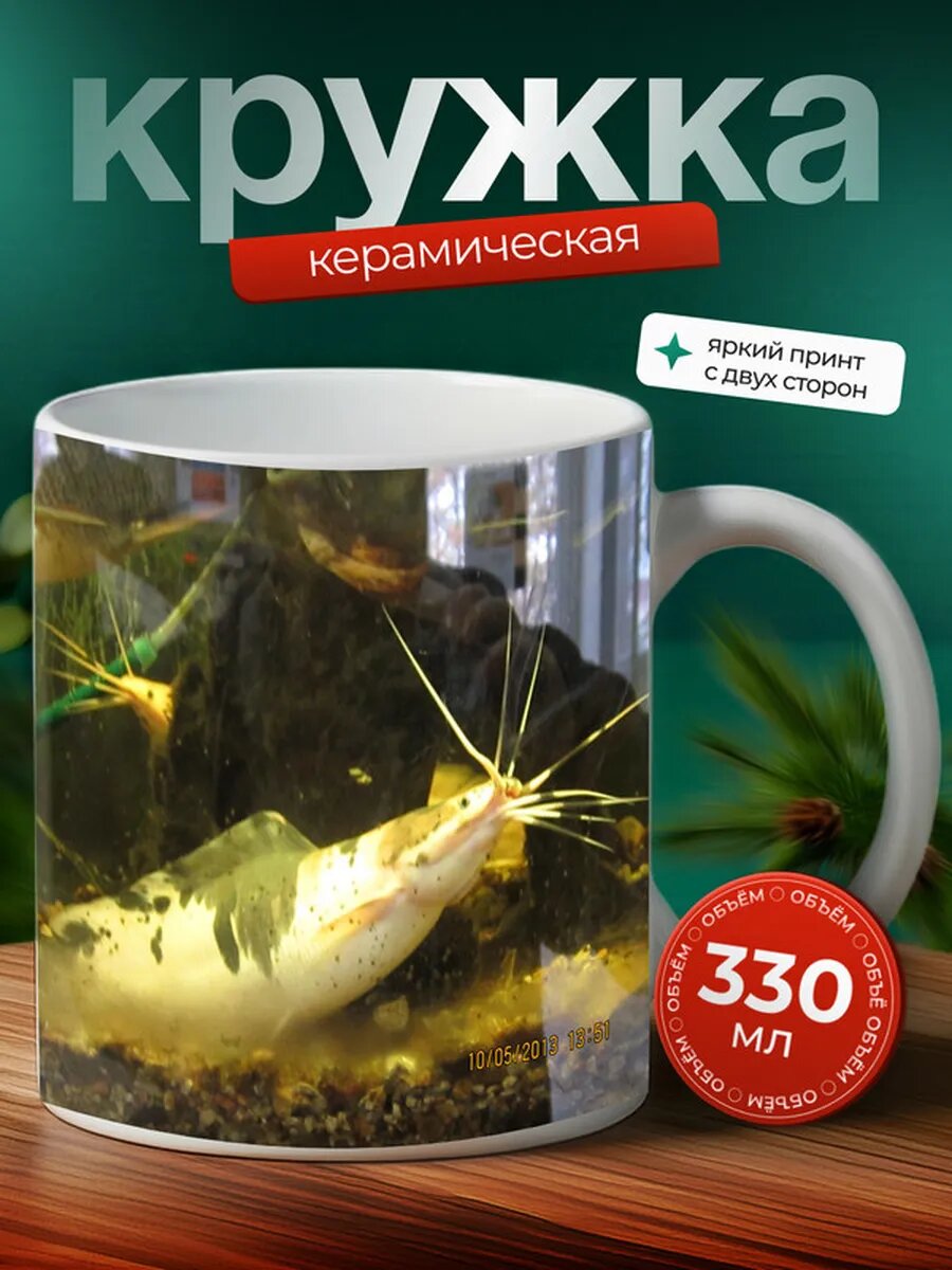 Кружка Сомик-коридорас рыбка 10,