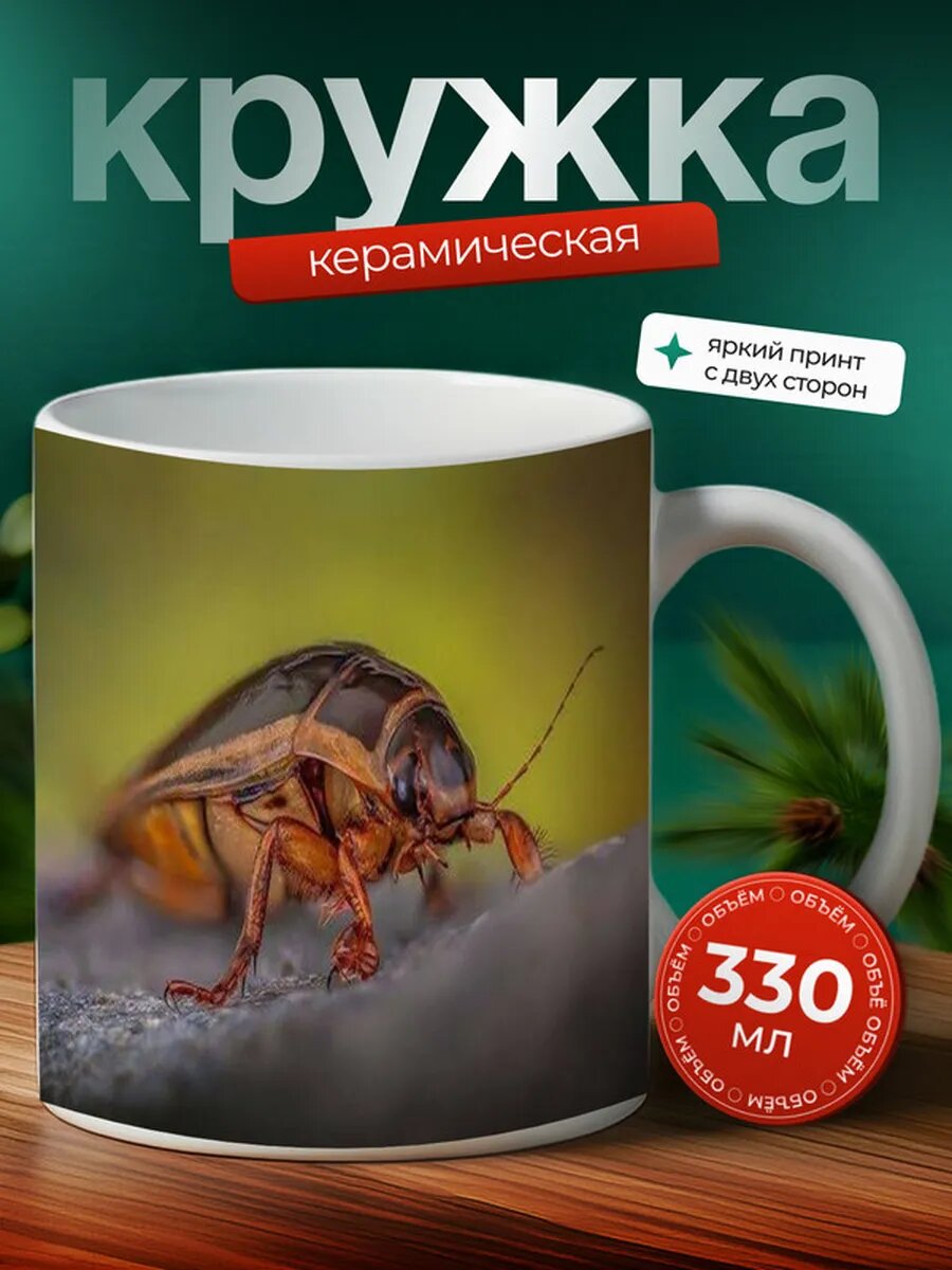 Кружка Плавунец насекомое 2,