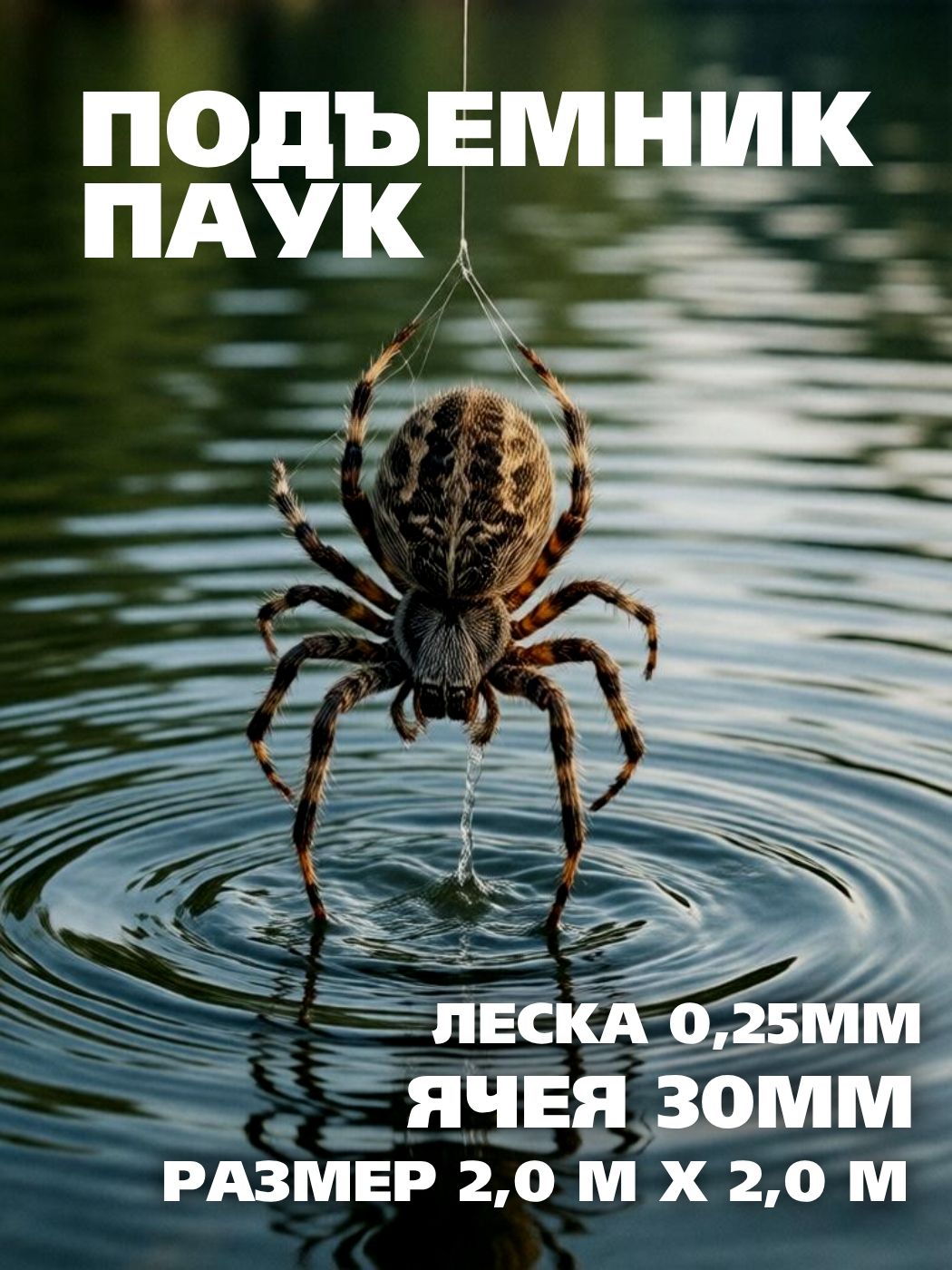 Полотно для паук лифта 30мм (2,0м*2,0м) для декорирования цветов в саду
