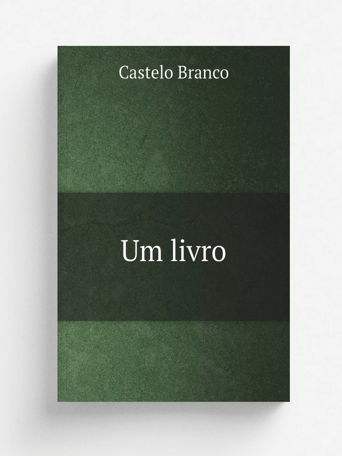 Um livro | Castelo Branco | 1866 | Porto Viuva Mor. | Репринт