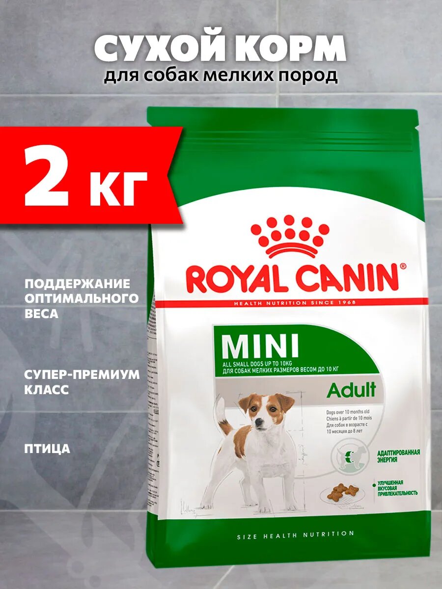 Корм сухой Royal Canin Mini Adult для взрослых собак мелких пород от 10 месяцев, 2 кг