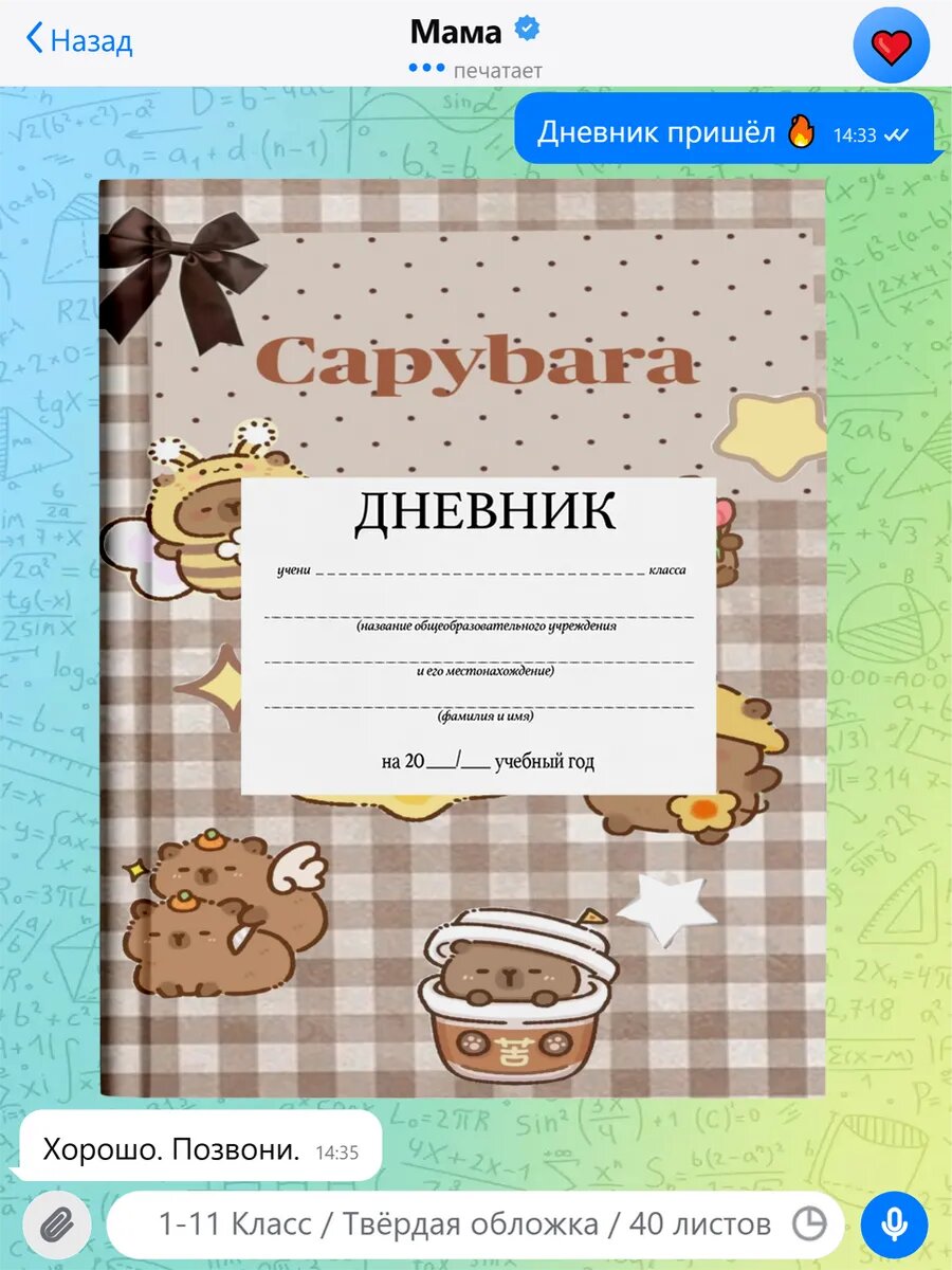 Школьный дневник с принтом Роблокс