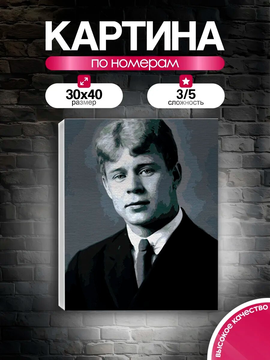 Картина по номерам 30x40 Серей Есенин