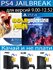 Wolfenstein: Youngblood диск PS4 JB