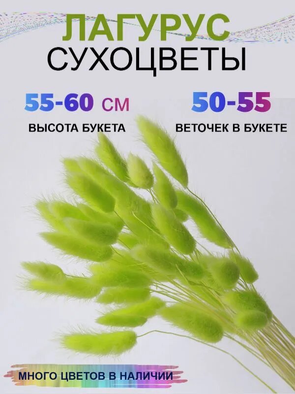 Сухоцветы Сетария 60 см 150 гр 60 шт для интерьера для декора для дома для офиса