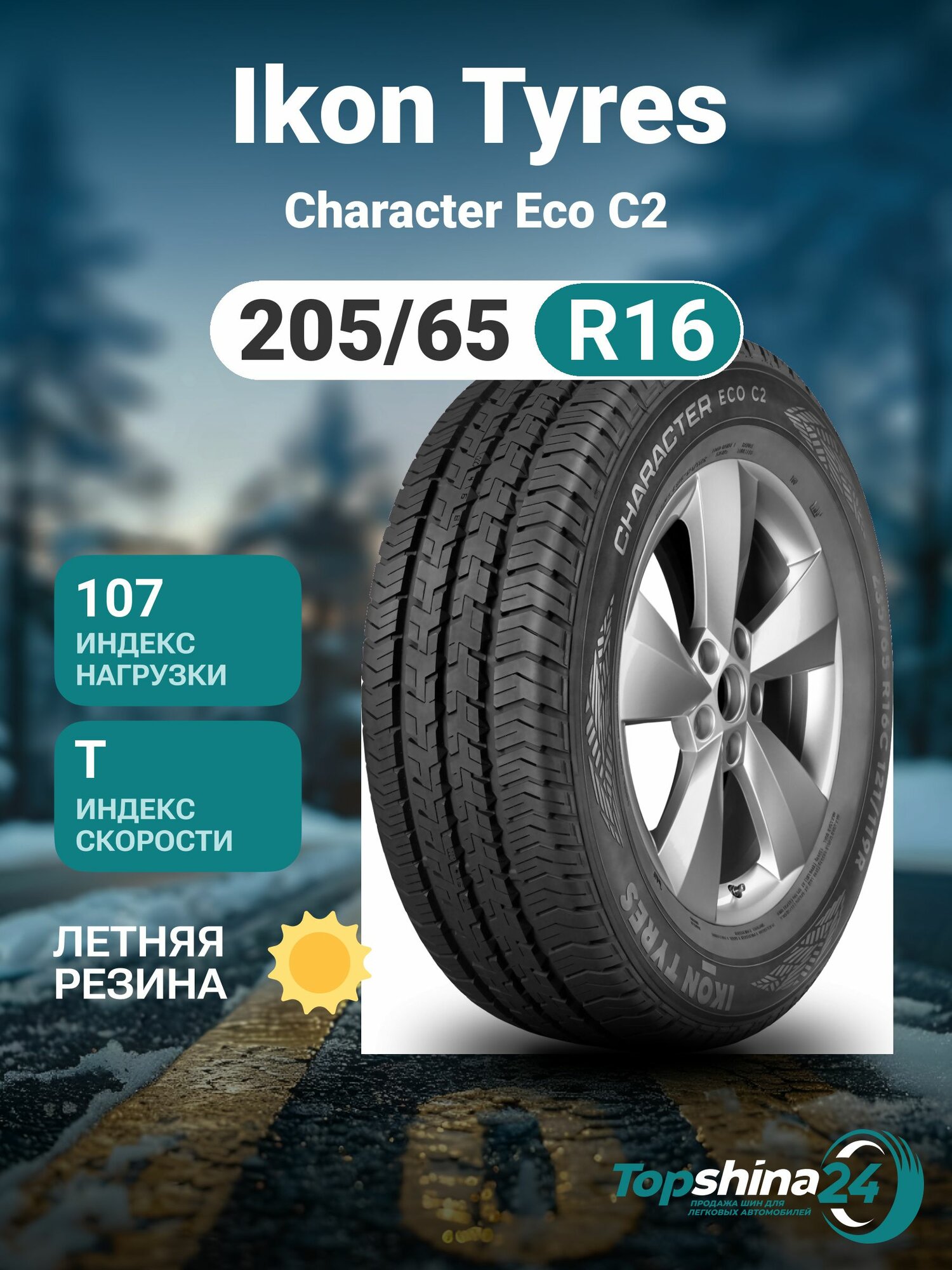 Шины летние Ikon Tyres Character Eco C2 205/65 R16 T107/105