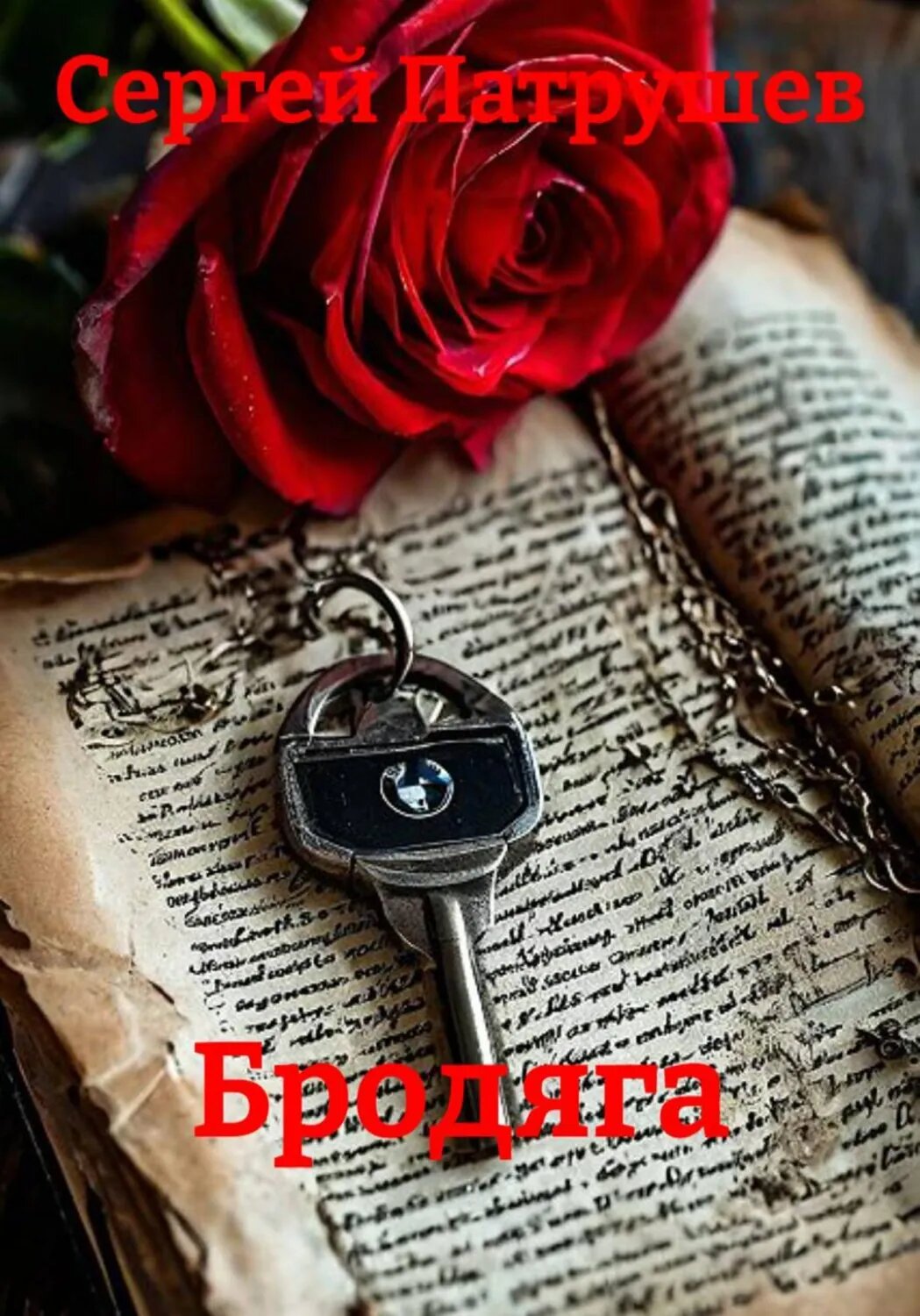 Бродяга [Цифровая книга]