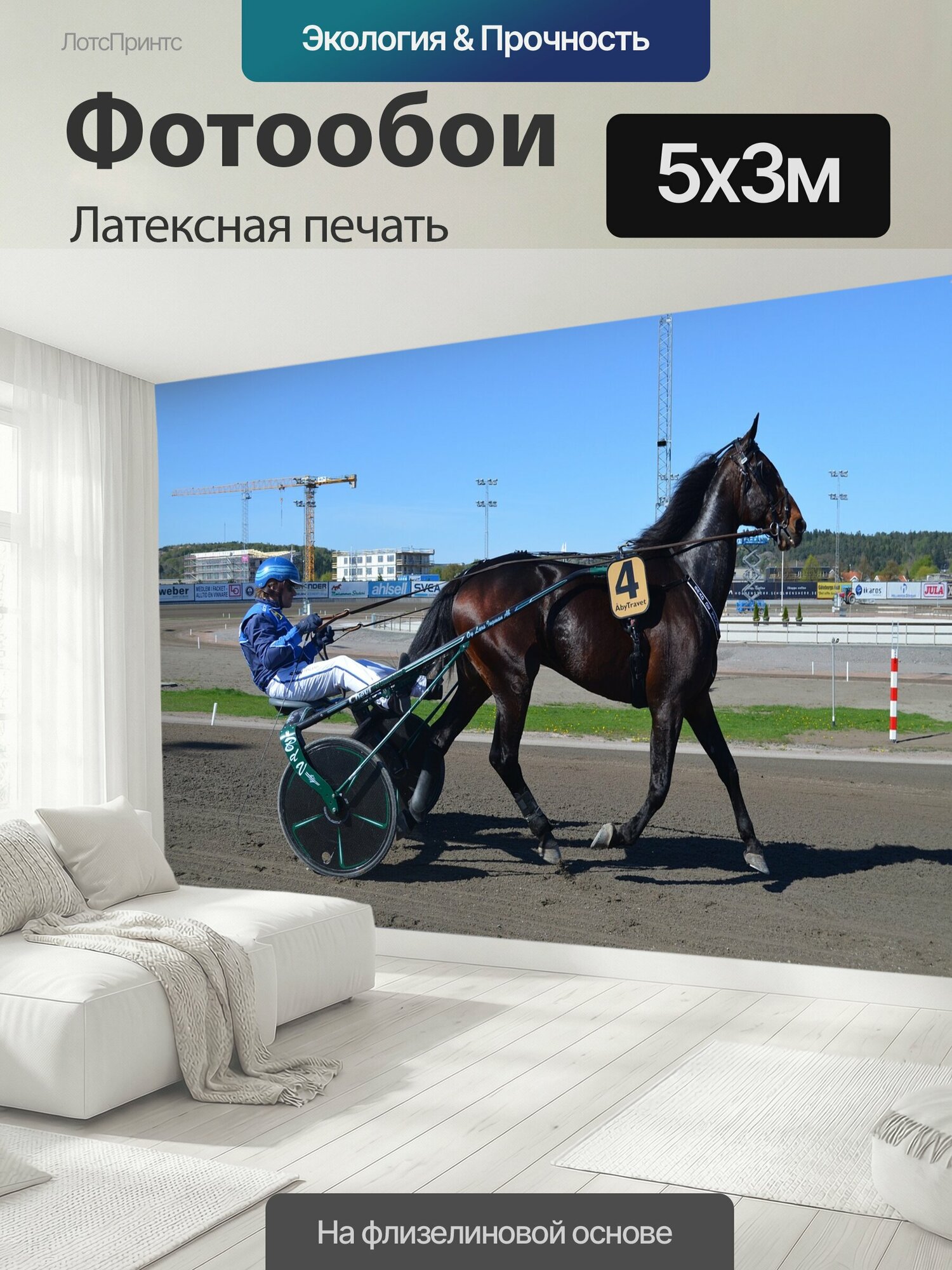 Фотообои моющиеся ударопрочные "Рысью, конный спорт, лошадь" 500x300 см. латексная печать