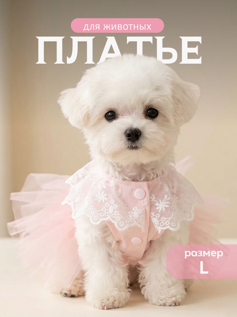 Платье для кошек и собак мелких и средних пород SSY, розовое, размер L