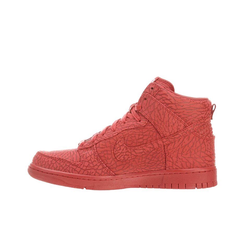 Кеды NIKE Dunk
