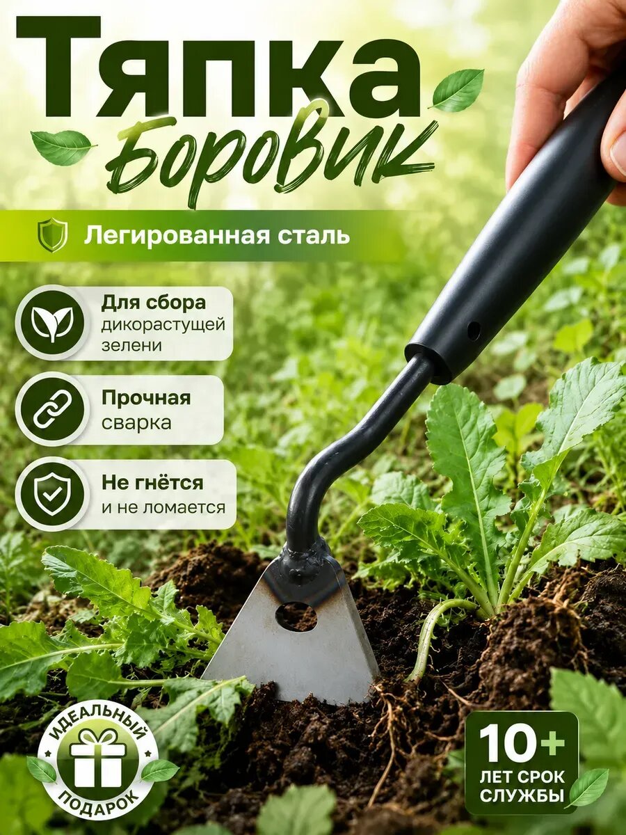 Тяпка боровик