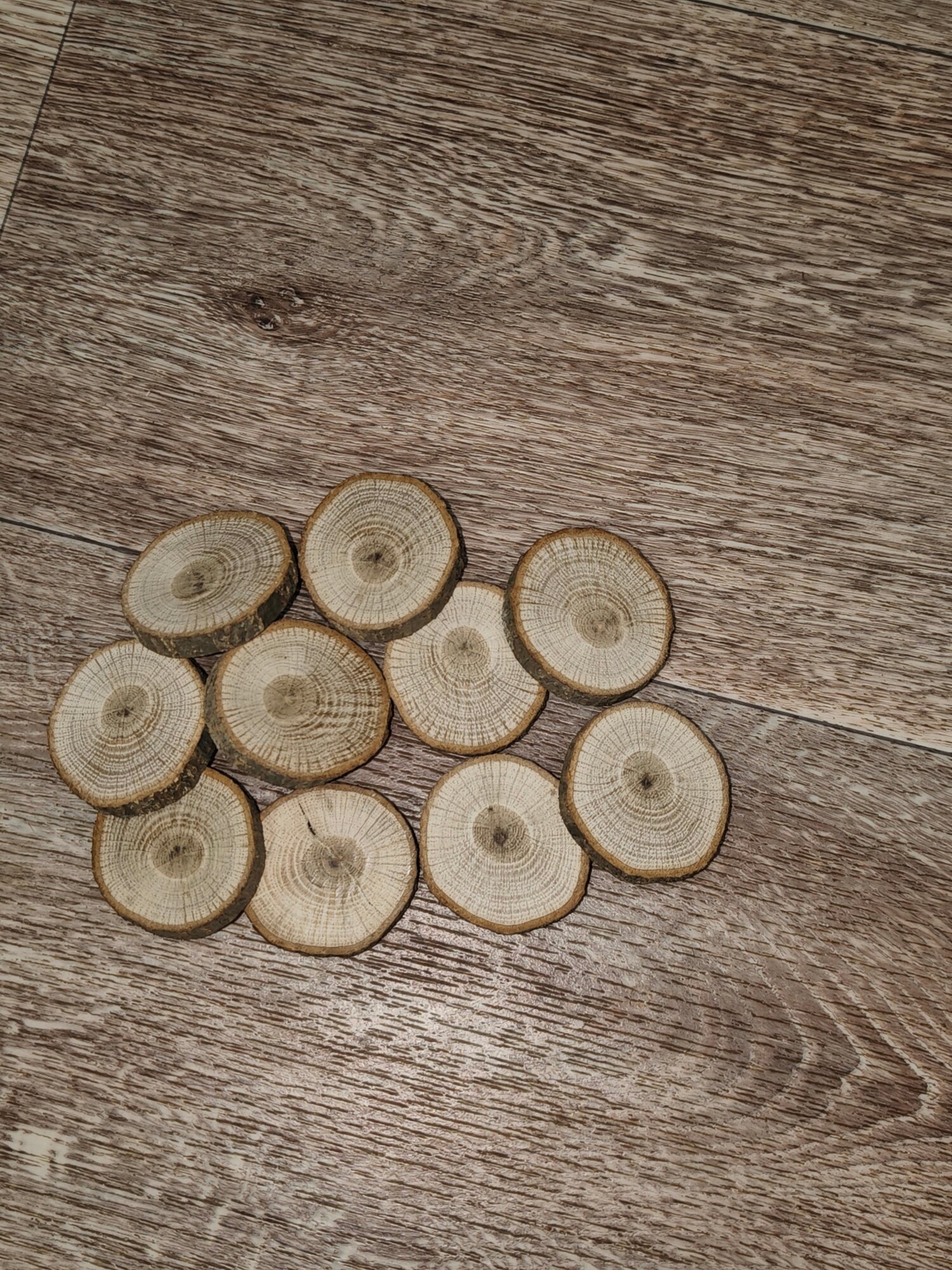 Спилы дуба диаметр 4 см, толщина 8-9 мм, 10 шт