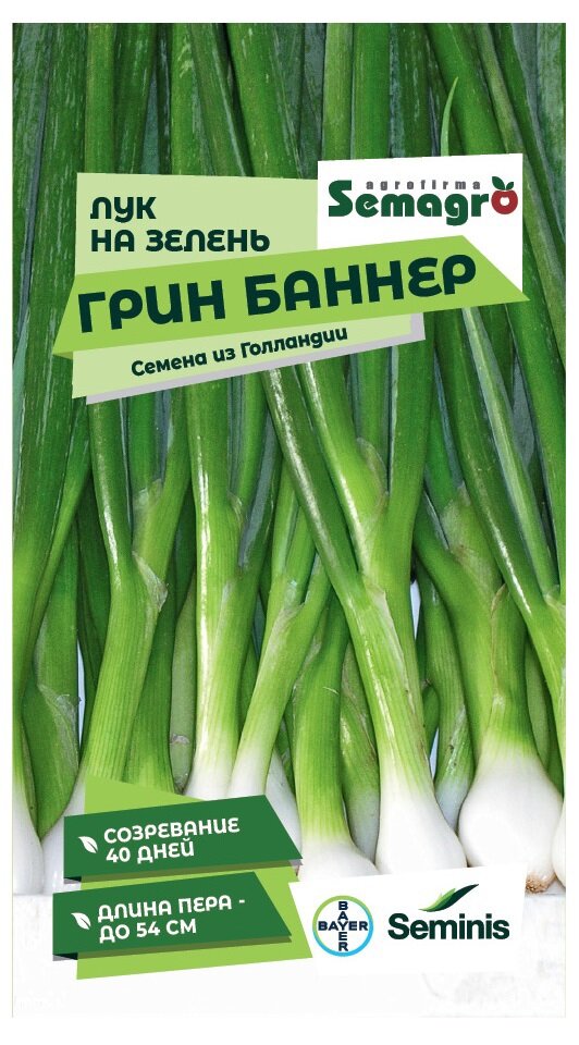 Семена овощей Seminis лук на зелень Грин Баннер, для дачи, сада, огорода и на рассаду