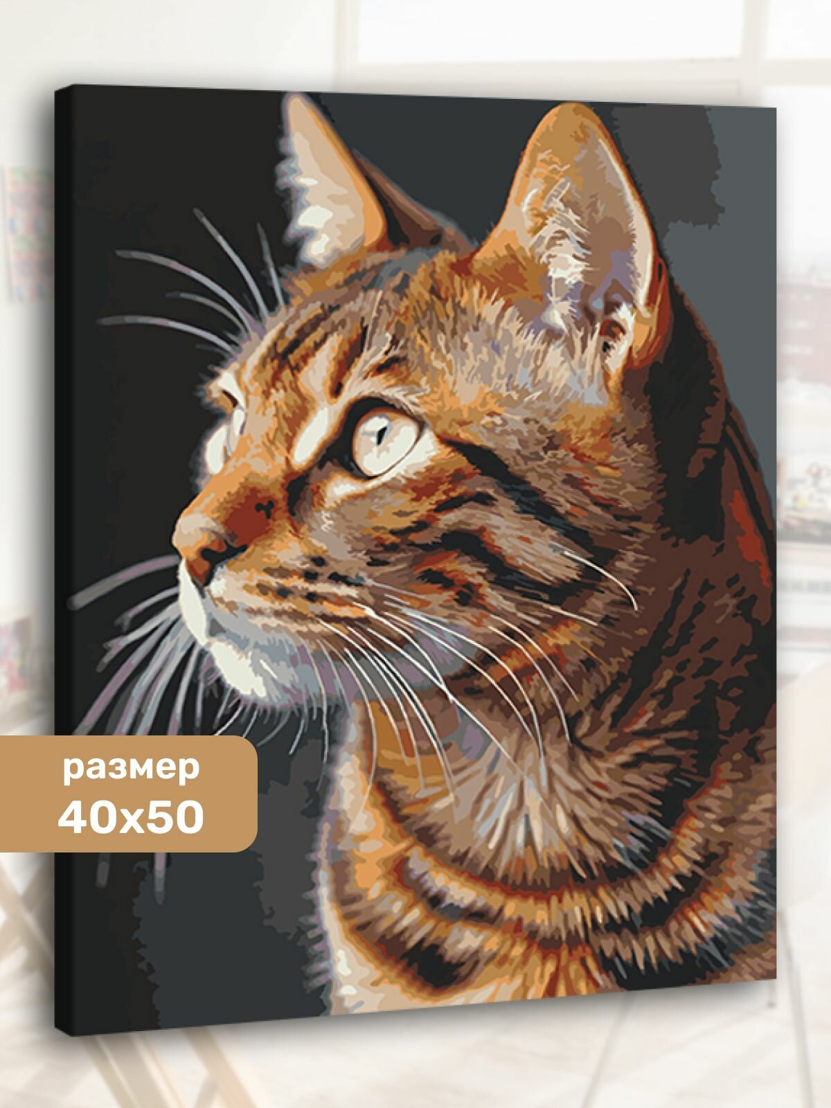 Картина по номерам на холсте Бенгальский кот