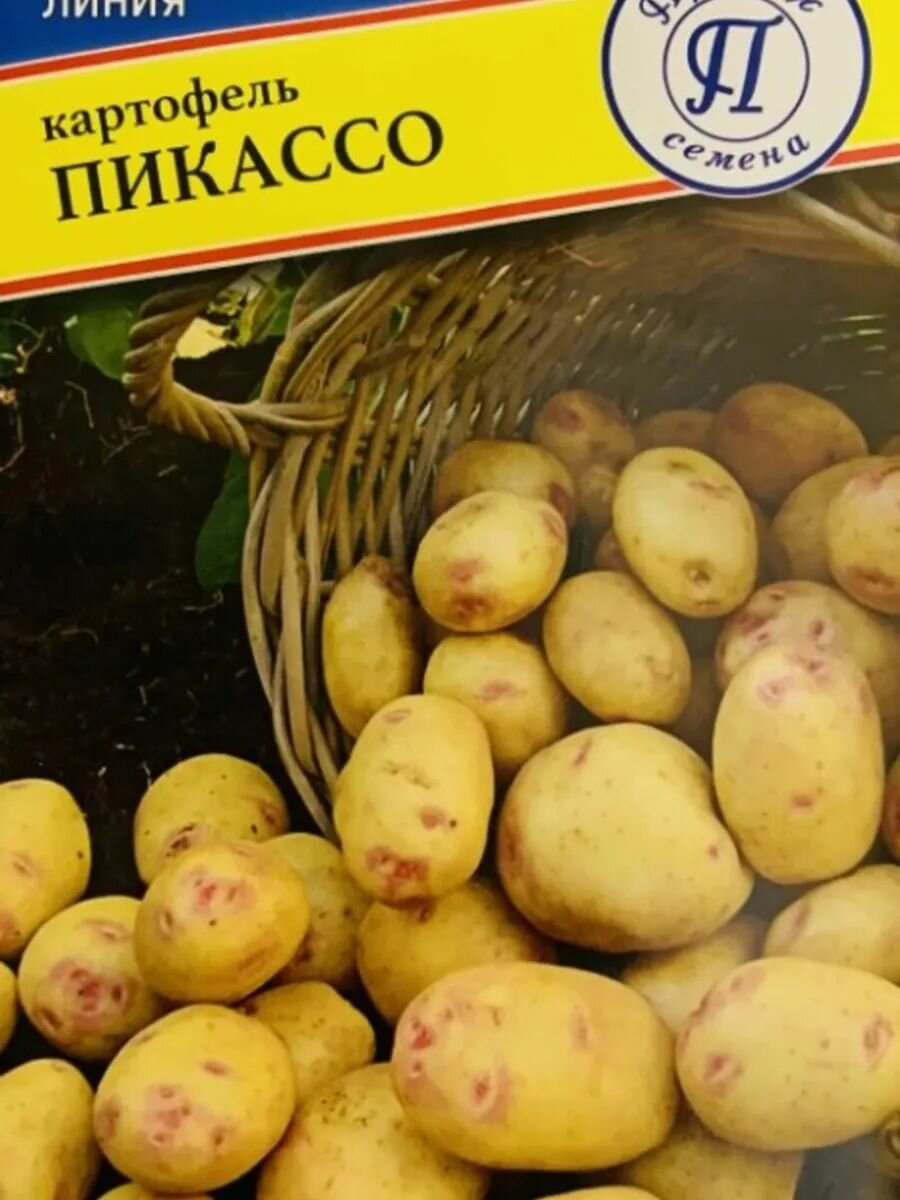 Картофель Пикассо 0,05 г, Семена Престиж