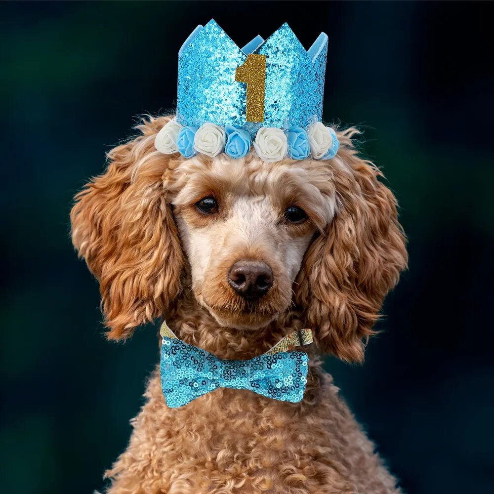 Комплект для праздника питомца с тканевой короной и бабочкой для собак и кошек