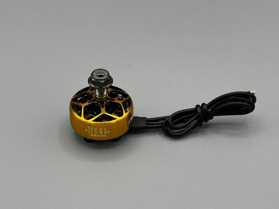 Бесколлекторный мотор RcinPower WASP MAJOR Gold 1860KV 00305