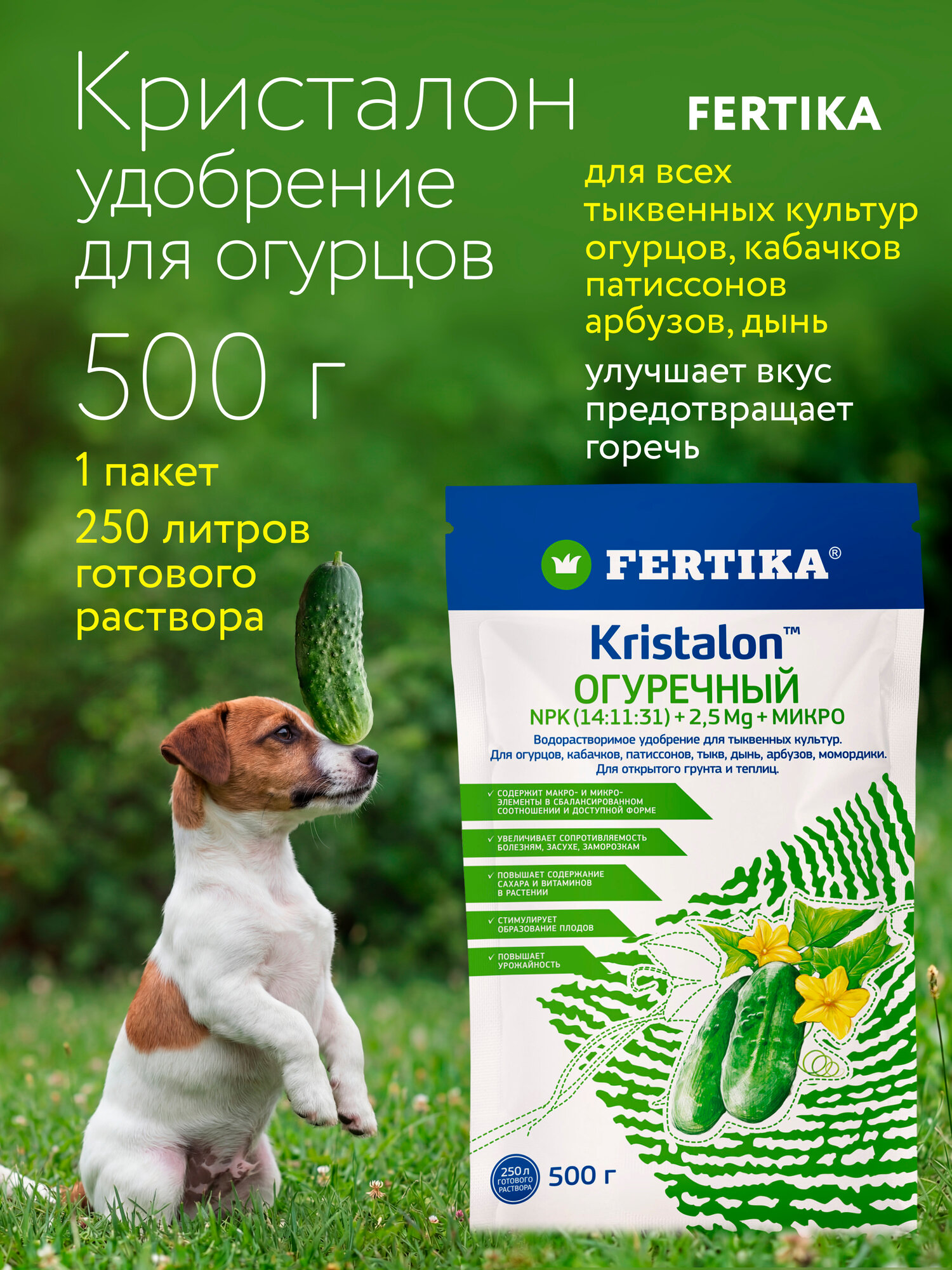 Удобрение FERTIKA Кристалон, для огурцов, для открытого грунта и теплиц, 500 г