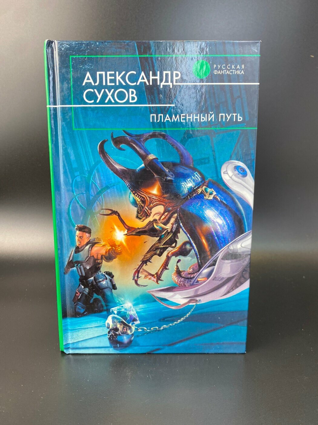 Пламенный путь. Сухов А. Е.