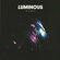 THE HORRORS Luminous (2LP)