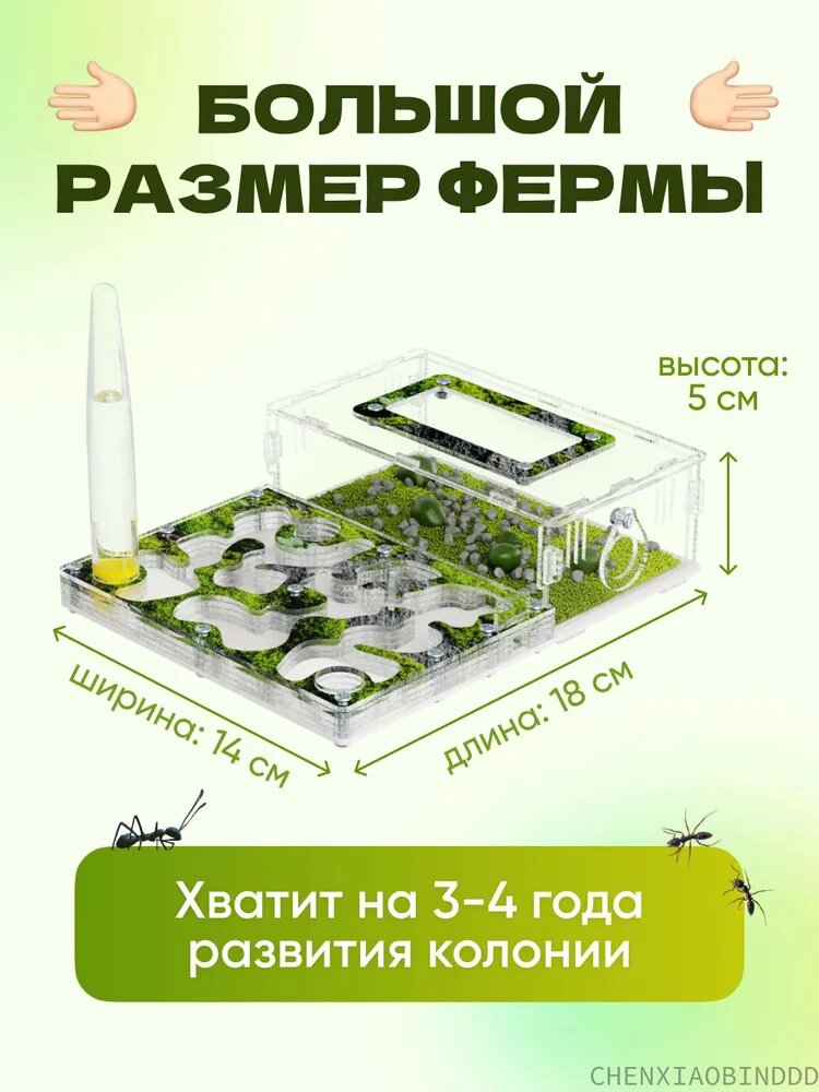 Муравьиная ферма Maxi. Полный комплект. Для новичков и опытных. Размер 140*180*50 мм — фото 1