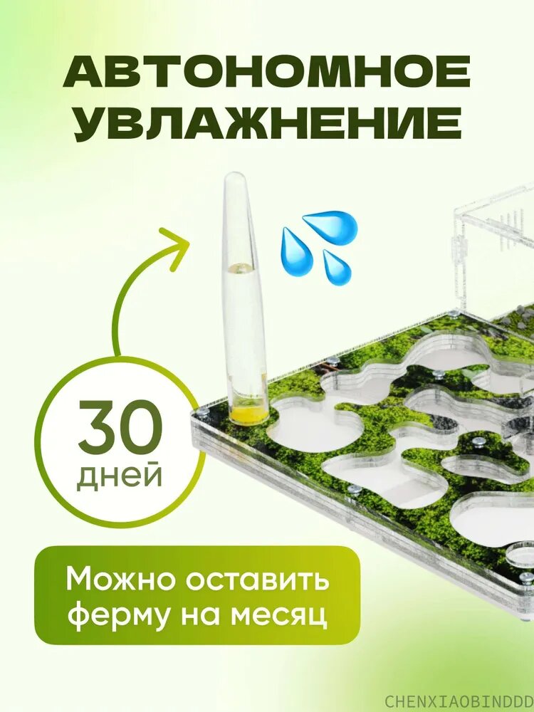 Муравьиная ферма Maxi. Полный комплект. Для новичков и опытных. Размер 140*180*50 мм — фото 1