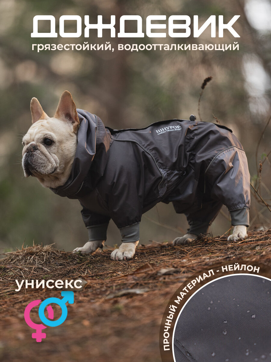 Дождевик для собак (французских бульдогов)