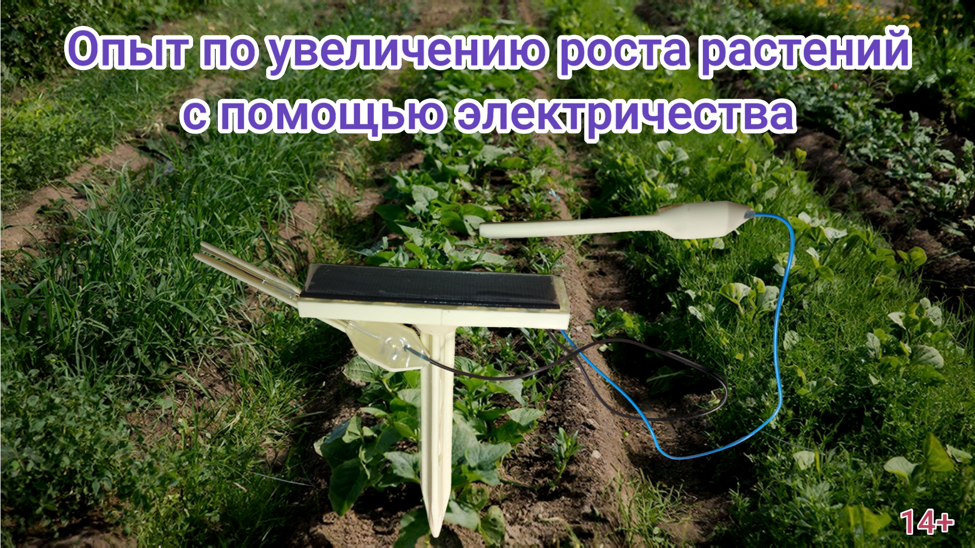 Набор для опытов по биологии. Эксперимент по выращиванию растений "Агроэлектроника" для подростков и детей.