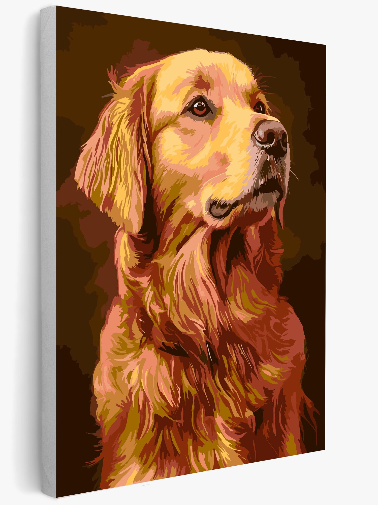 Картина по номерам лабрадор