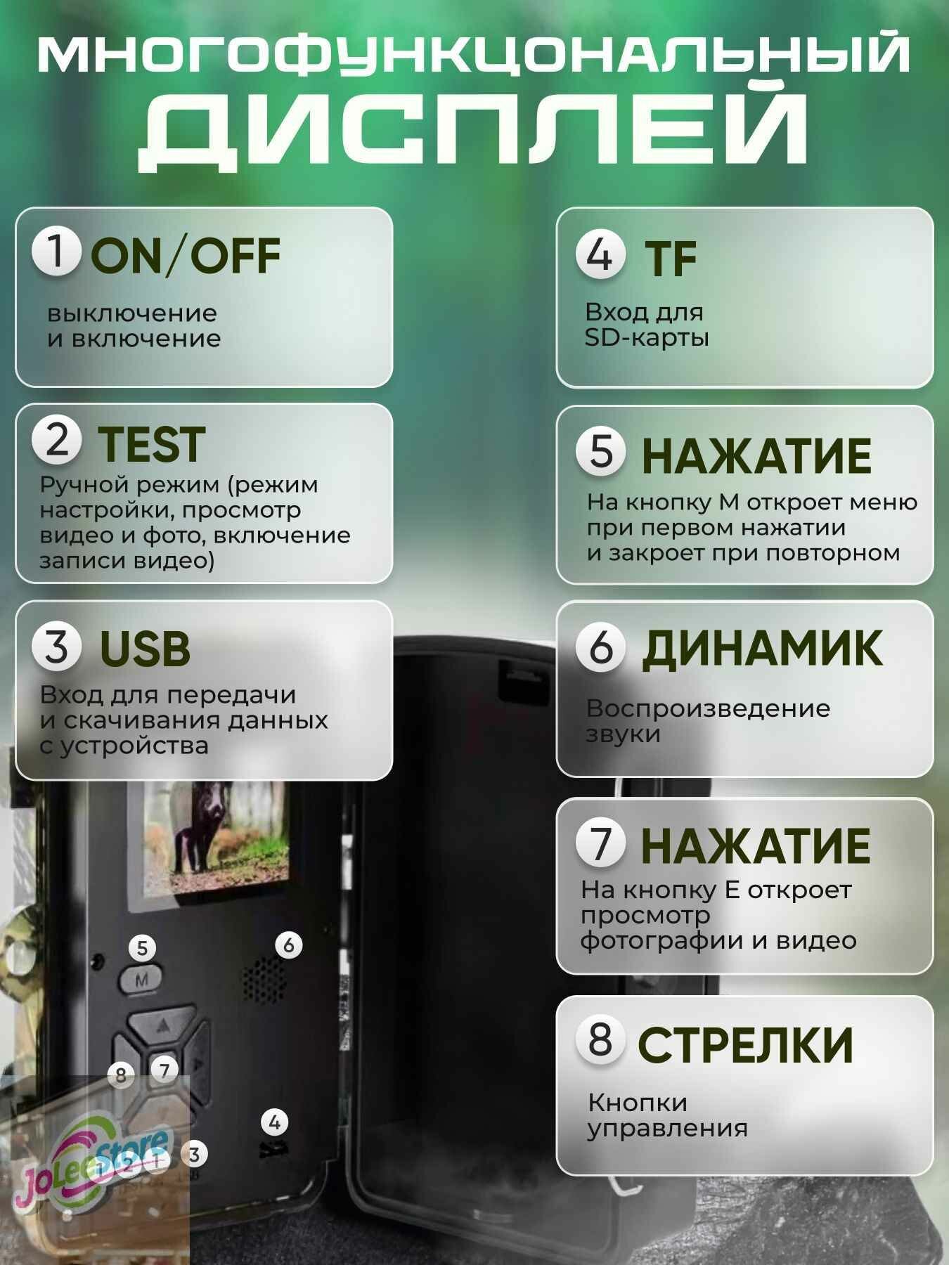 Фотоловушка — фото 1