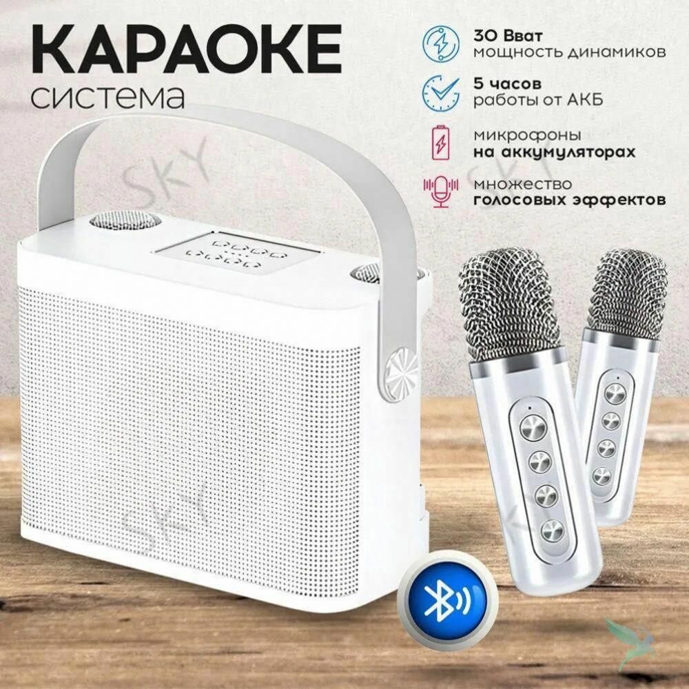 Караоке-система