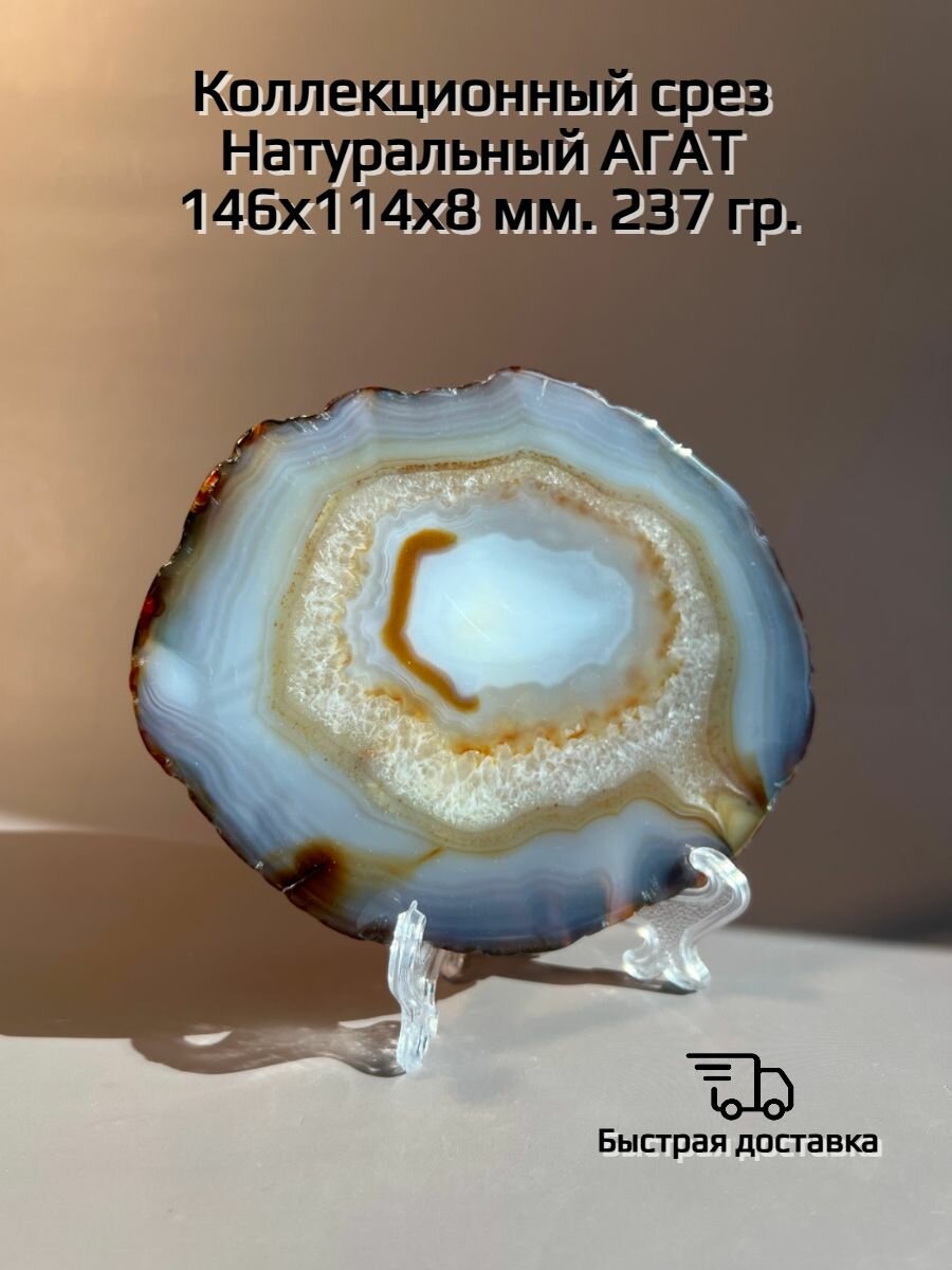 Коллекционный срез натурального камня Агат. 146х114х8 мм. 237 гр.