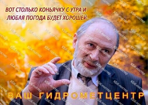 "Коньячку с утра и любая погода будет хорошей". 30х42 см. Плакат А3_001.