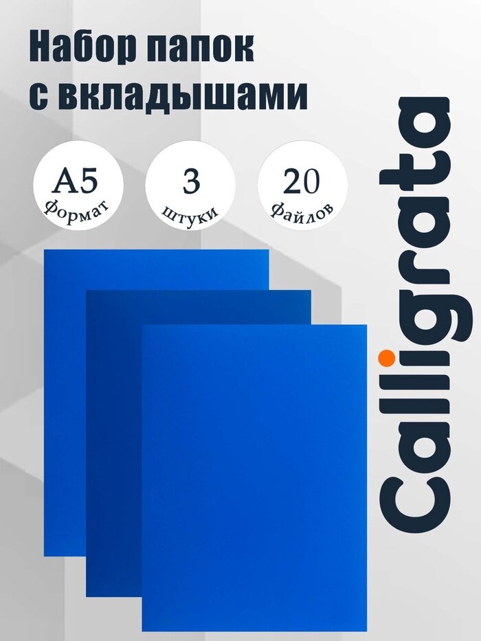 Набор папок А5, 20 вкладышей, Calligrata, синяя, 3 штуки, 2 шт.