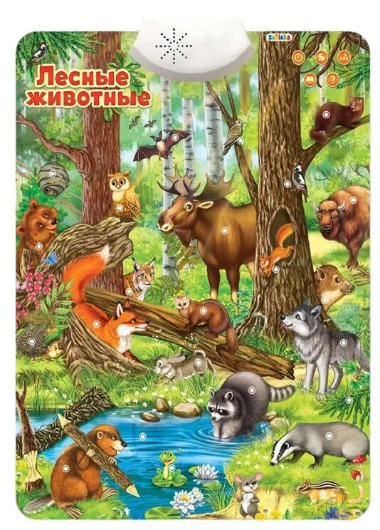 Говорящий электронный плакат "Лесные животные" для детей, умная игрушка на батарейках со звуковыми эффектами, обучающая игра для малышей, учим животных