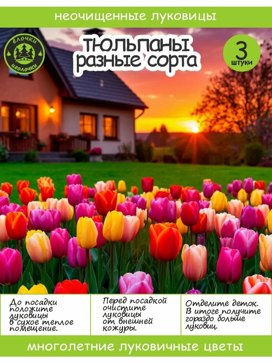 Тюльпан луковичные цветы, Микс сортов 3 шт