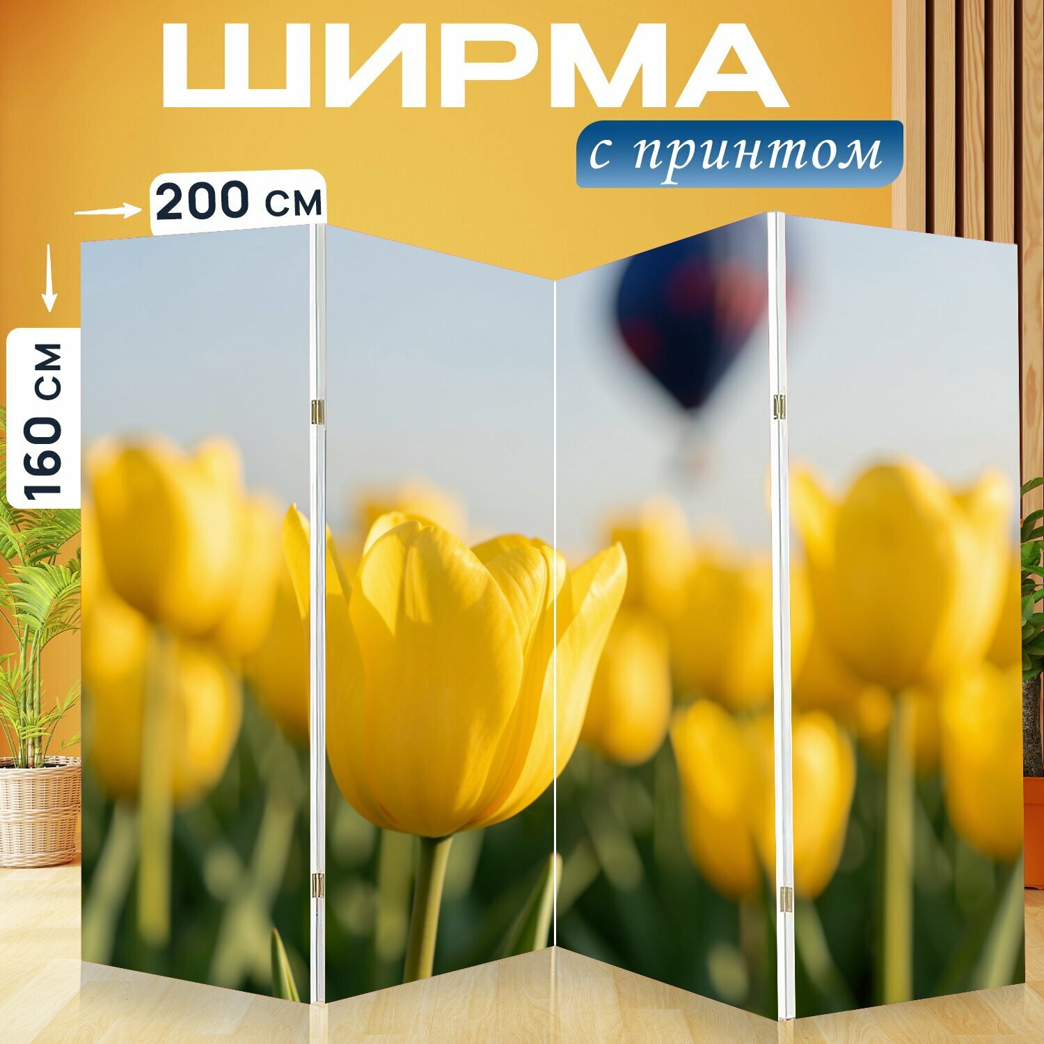Ширма "Жёлтые тюльпаны с воздушным шаром. Солнечное поле цветущих бутонов в мягком размытом фокусе, нежные." перегородка для зонирования комнаты с принтом 200x160 см. на холсте