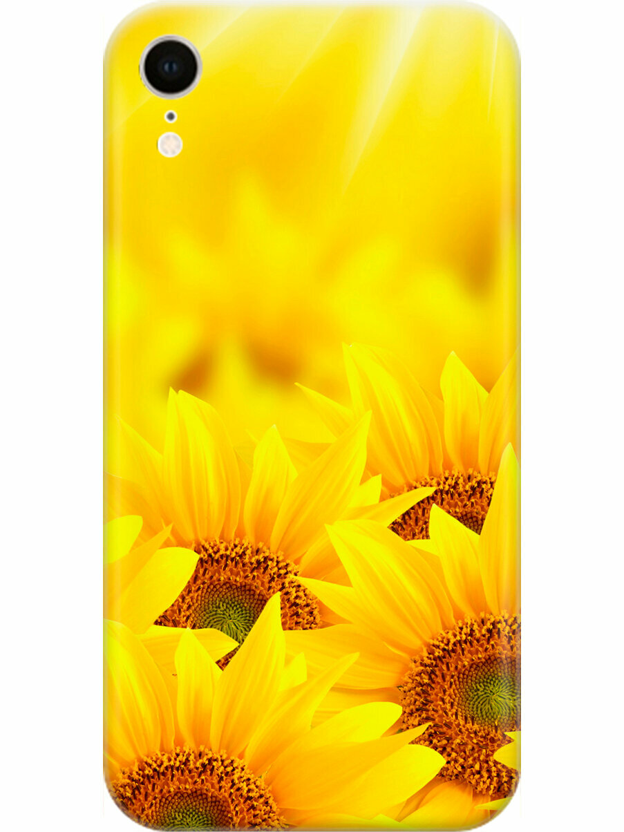 Силиконовый чехол на Apple iPhone XR / Эпл Айфон Икс Эр с рисунком "Подсолнухи"